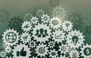 Select Custom Solutions – An Exceptional Experience Awaits